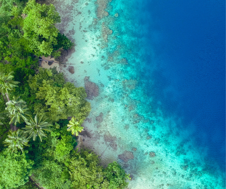 Sign Up From Everywhere - Nomad Health Insurance Guide • Genki Guide ...