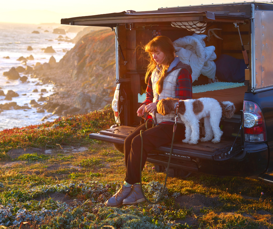 Taking your dog on a plane • Genki Guide for Digital Nomads